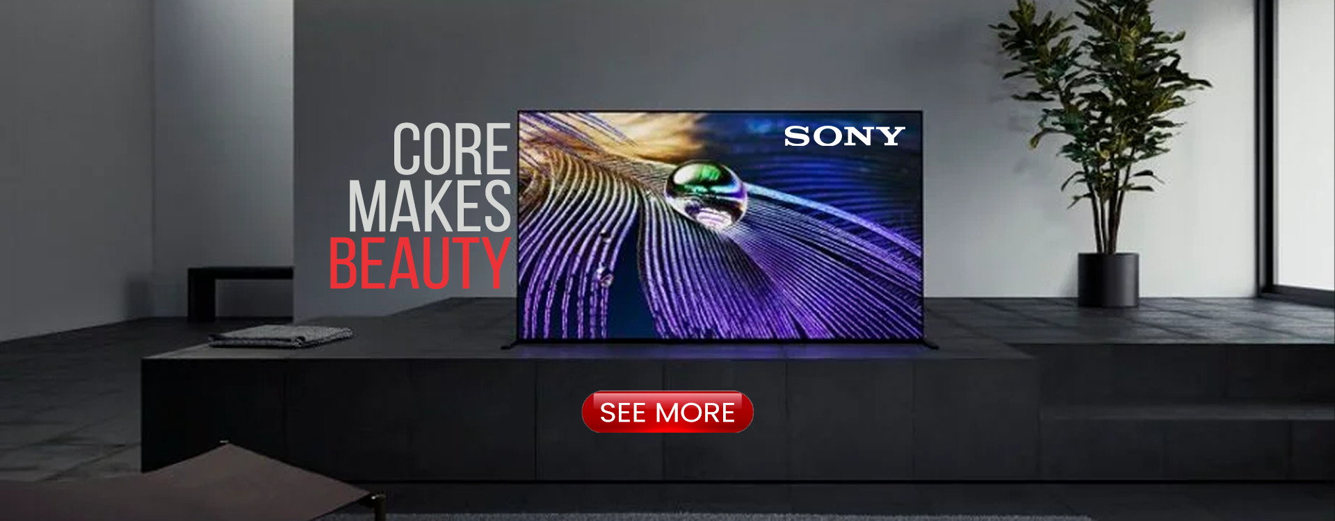 Sahu Agencies - Best Electronic store in Lucknow